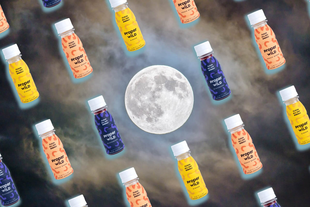 How To Stay Awake For All-Nighters & Proper Wild